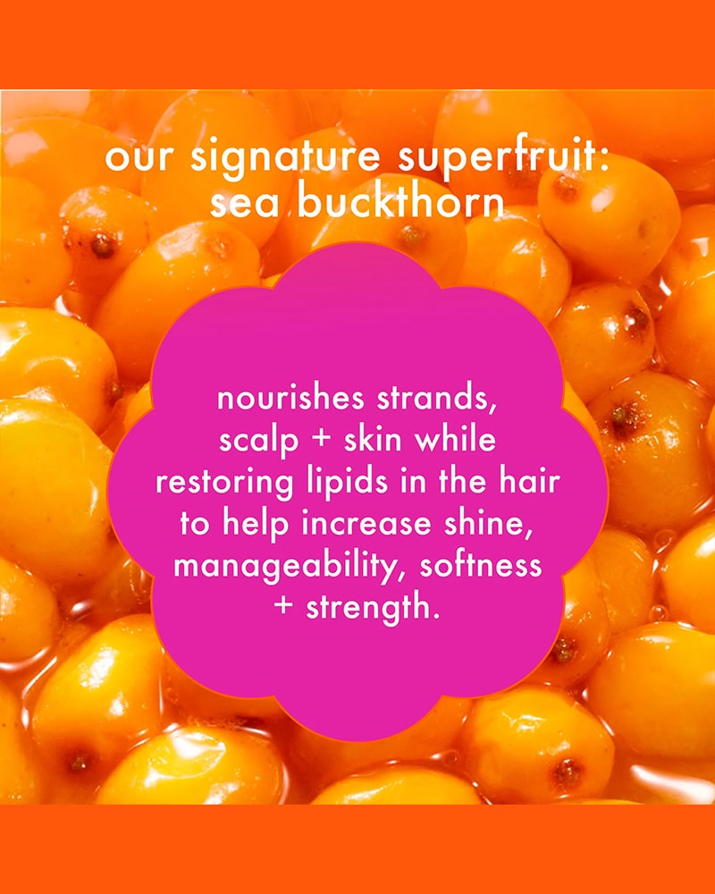 Amika Normcore Signature Conditioner 9.2 oz – Glamour Beauty Center